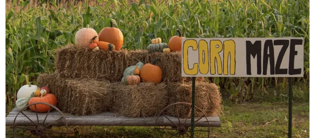 50+ Fun Fall Activities for Preschoolers